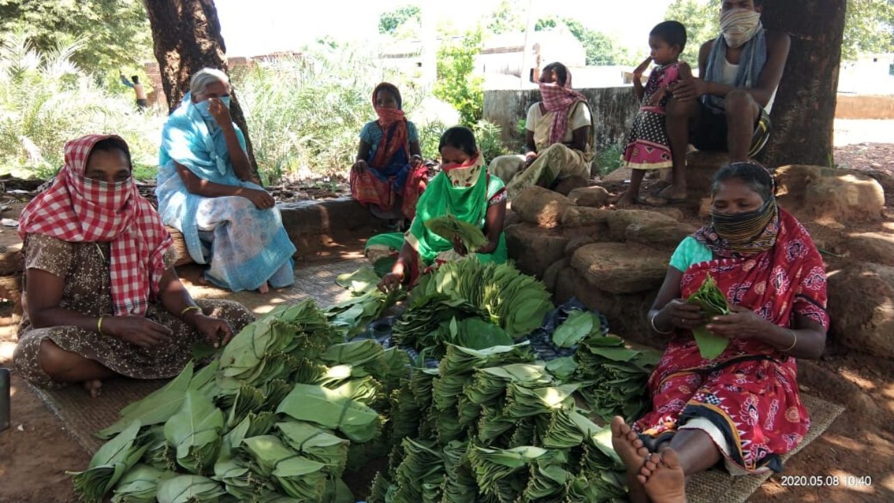Adivasi and Forest Dwelling Women Across India Face The Brunt Of The ... Adivasi and Forest Dwelling Women Across India Face The Brunt Of The ...