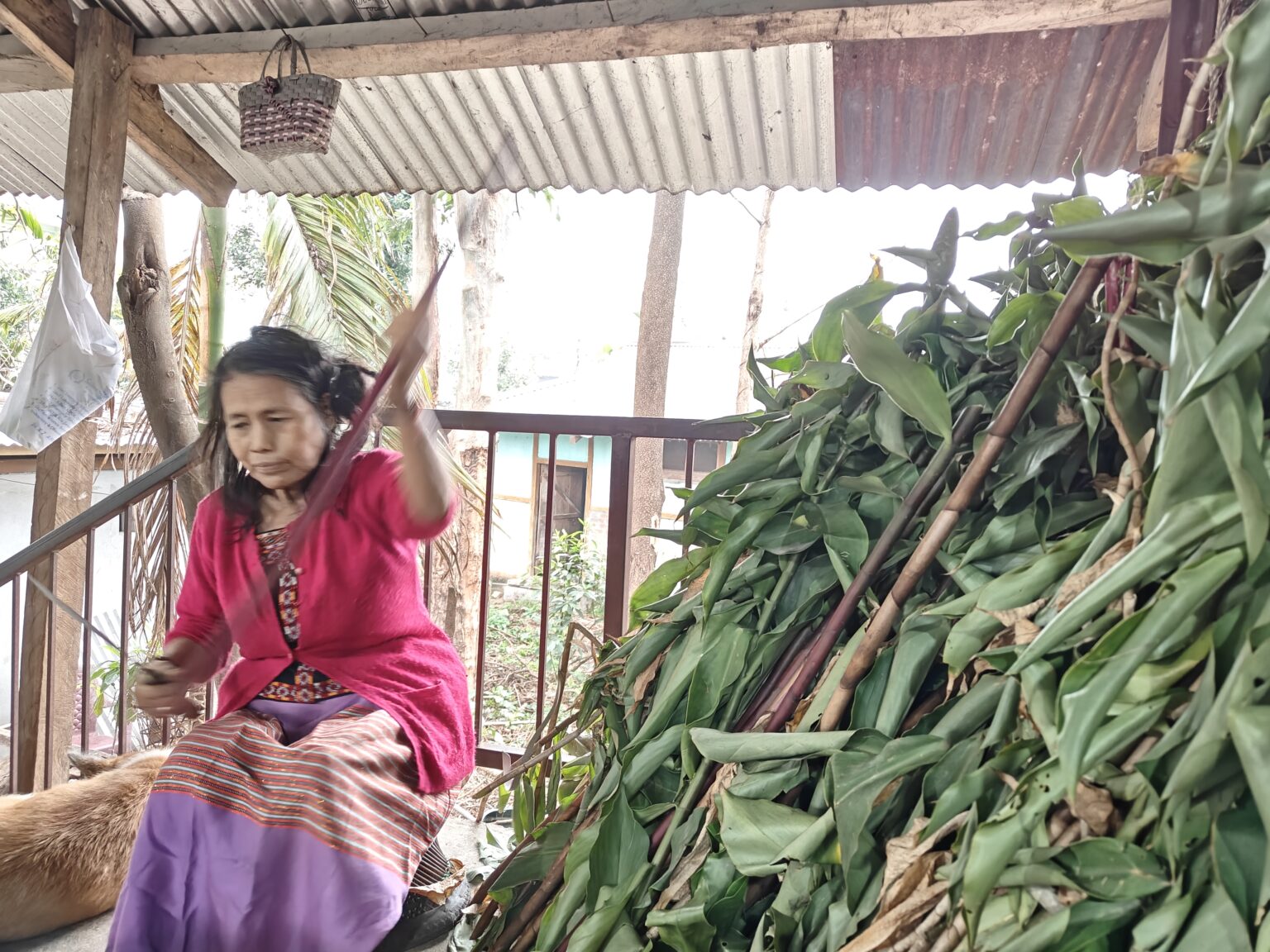 Lexi luna e i heard about Gina Rollins from a friend of