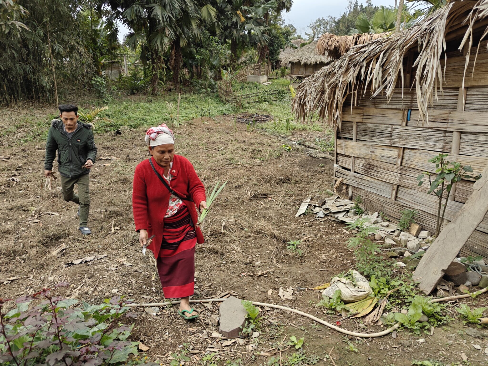 How Arunachal’s Women Healers Are Conserving Rare, Endangered Plants - BehanBox