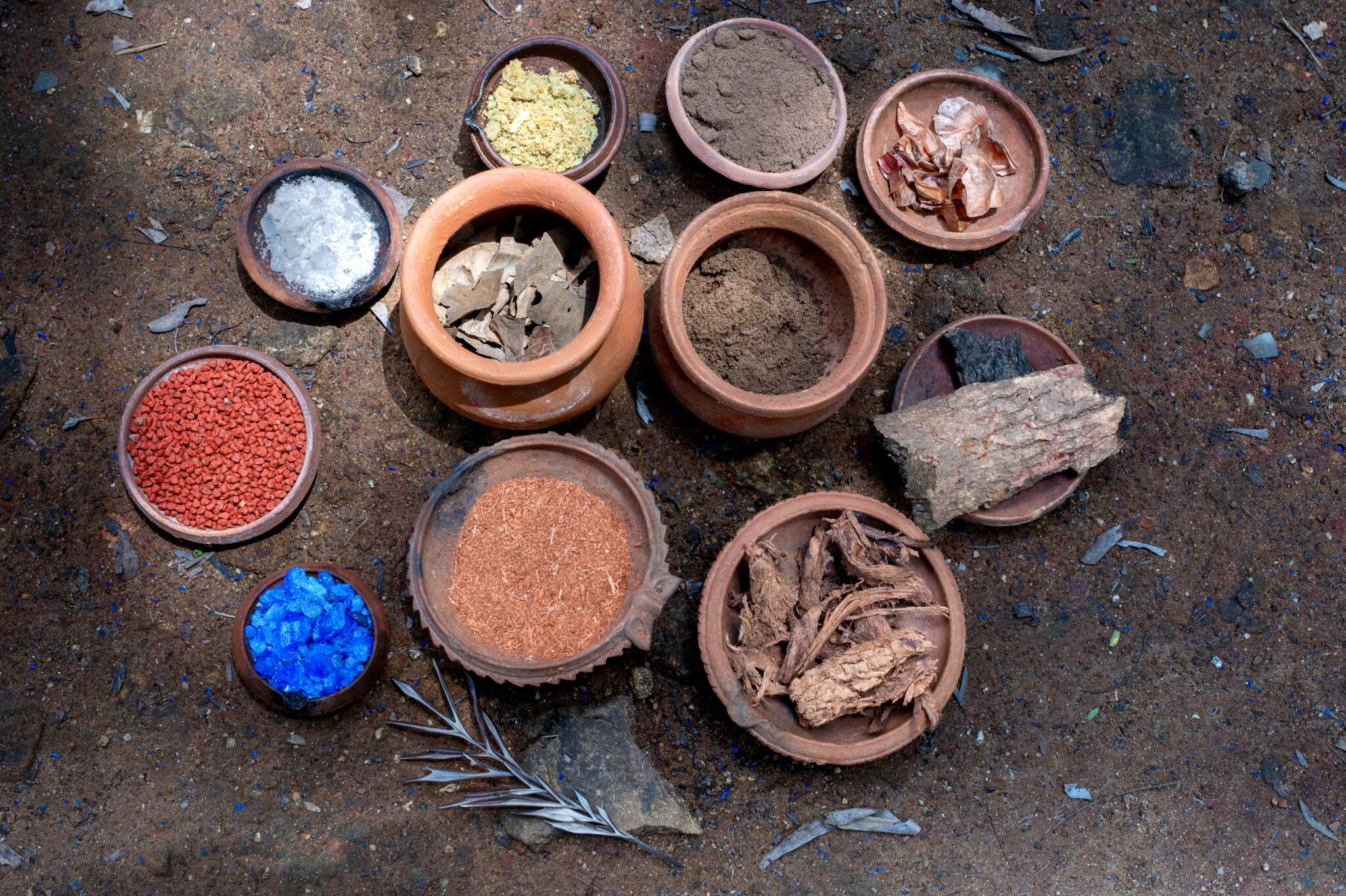 Colours From Koraput Forests And The Adivasi Women Reviving Natural ...
